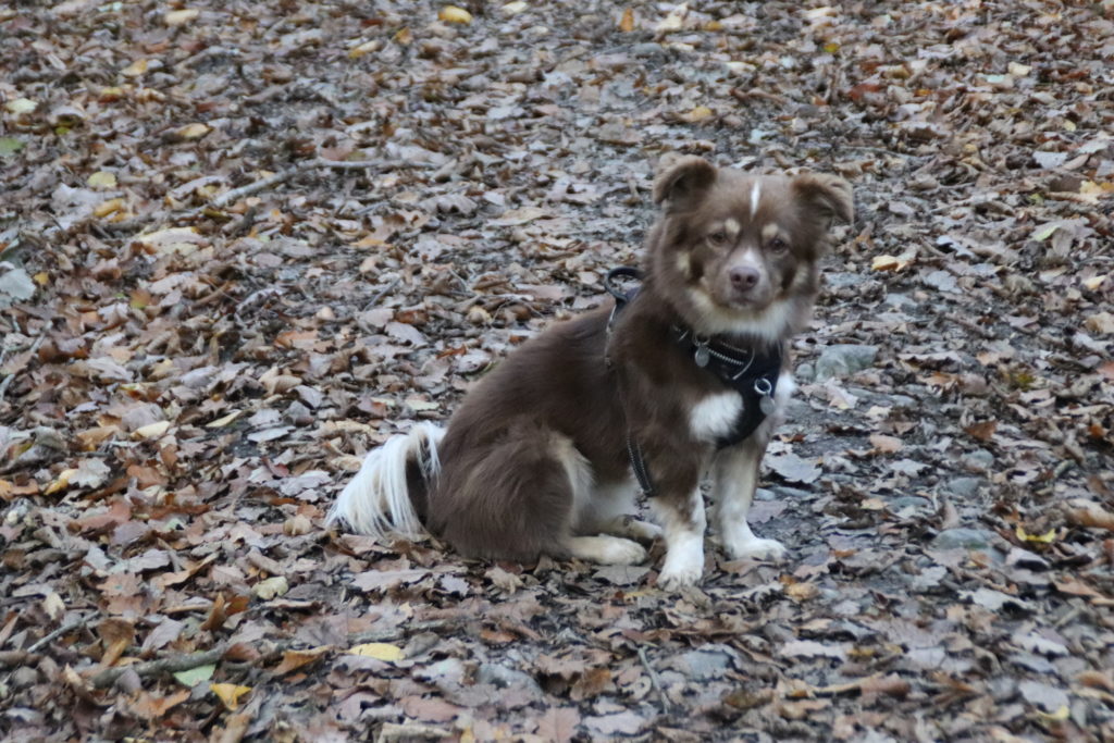 Le beau Bô… et Bô le sympa!